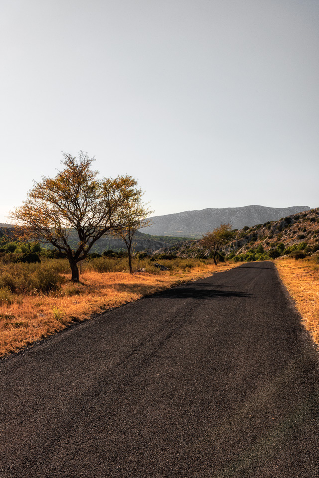 Asphalte | L'Essentiel d'Anthony