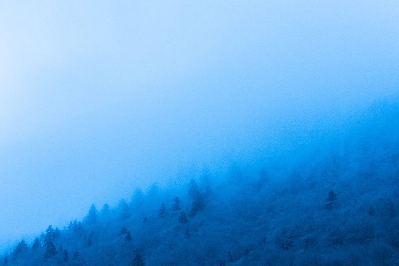Bleu Brume | L'Essentiel d'Anthony